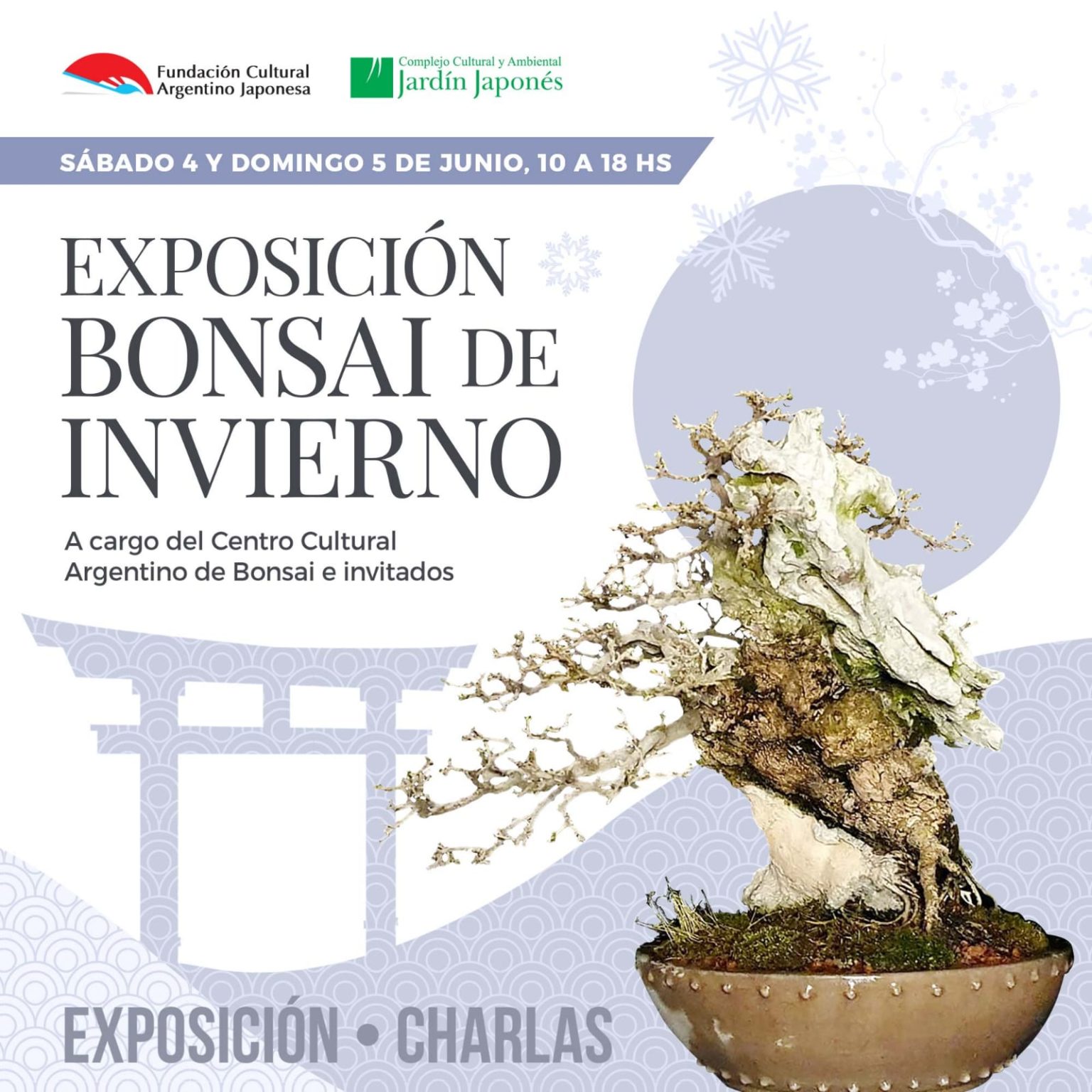 Expo Bonsai en el Centro Cultural Argentino de Bonsai del Jardín ...