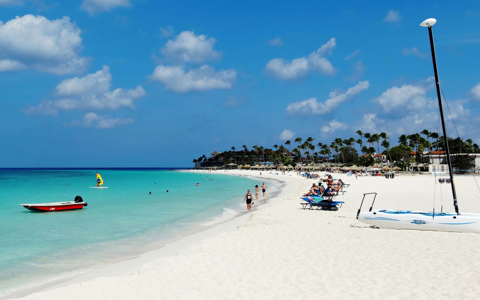 Aruba: ahora podes explorar la belleza de la isla feliz sin salir de ...