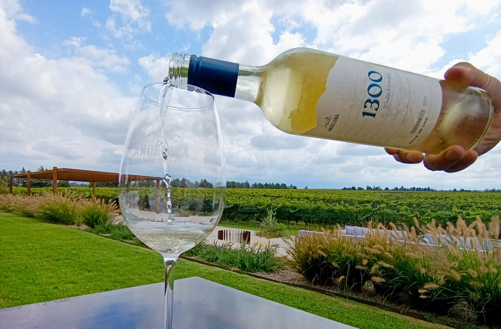 Andeluna lanza su primer vino bajo en alcohol: 1300 Torrontés Dulce ...